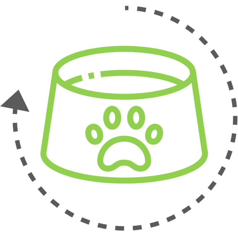 Waste to Wealth: Beauty of Upcycling in Sustainable Living