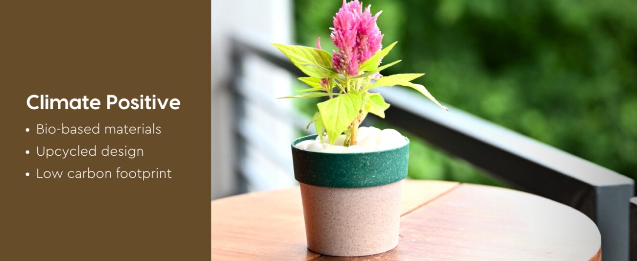 EcoPod 4 Inch Small pots for succulents from Biocomposites