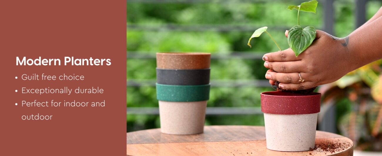 EcoPod 4 Inch Small pots for succulents from Biocomposites