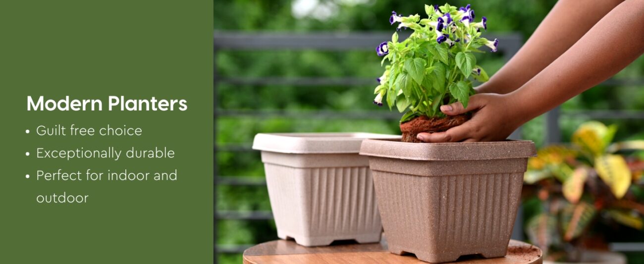 BellaSquare 14 inch Front step planters from biocomposites